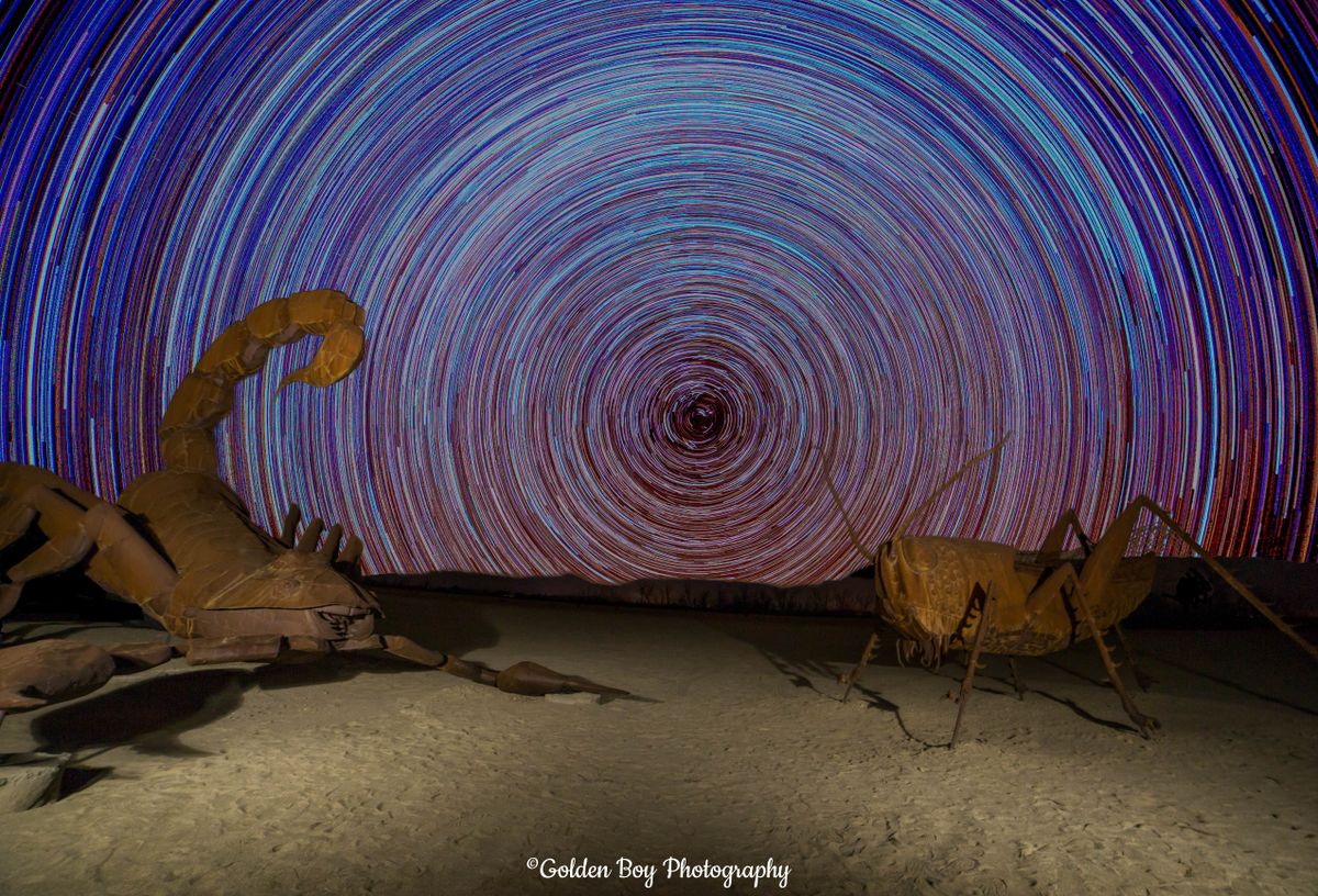 Photographer Captures Spectacular Star Trails Over Sculpture Park | Space