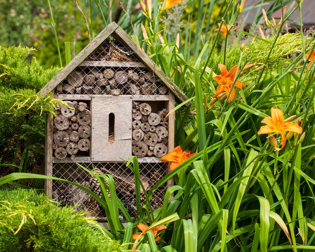 Backyard ideas for kids: 12 ways to have fun in the garden | Homes and ...