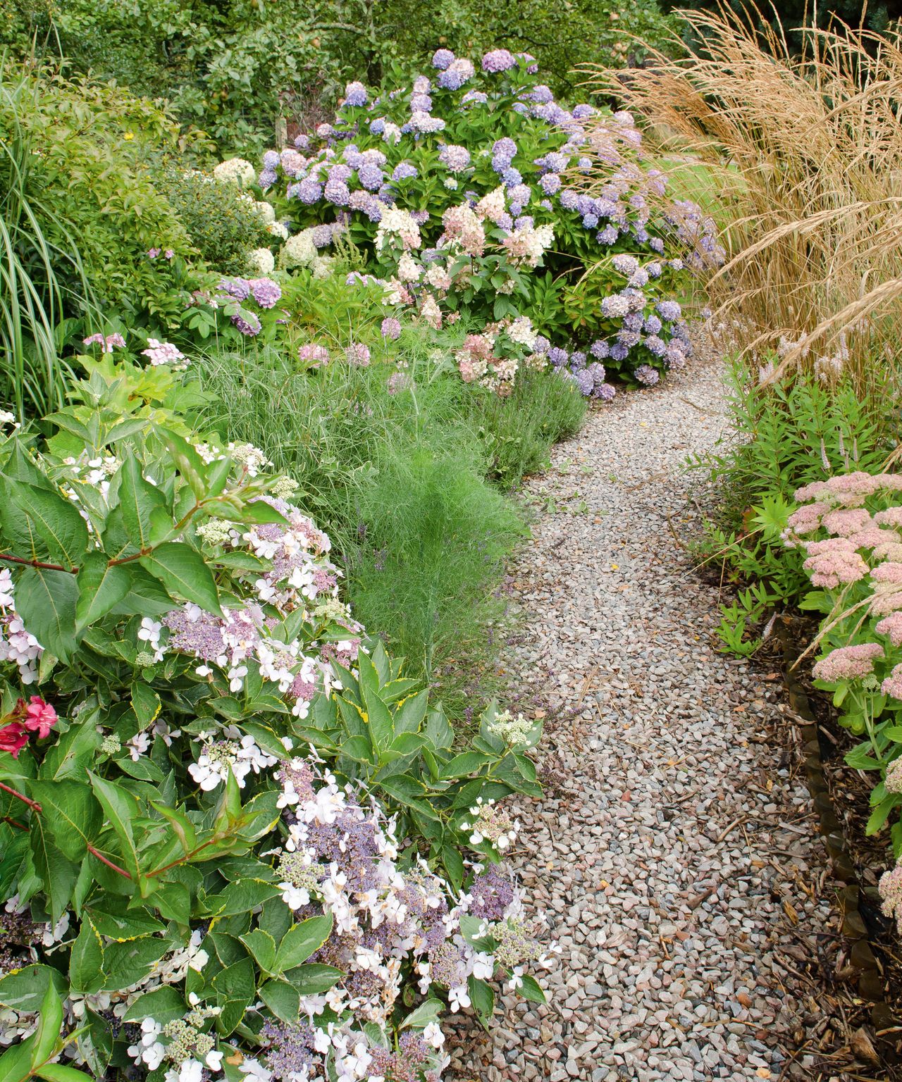 Landscaping with hydrangeas: 12 ways to include these blooms | Homes ...