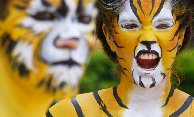 The return of the animal liberation movement | The Week