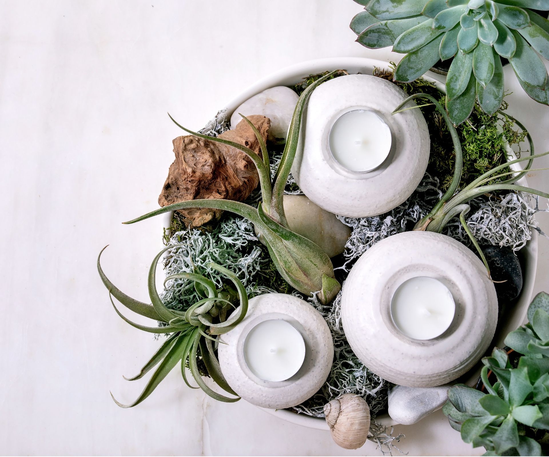 Best small indoor plants: 6 compact houseplants | Homes and Gardens