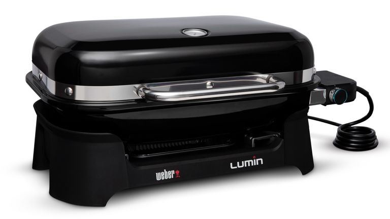 Weber Lumin Compact vs Ninja Woodfire: which is the best electric BBQ ...