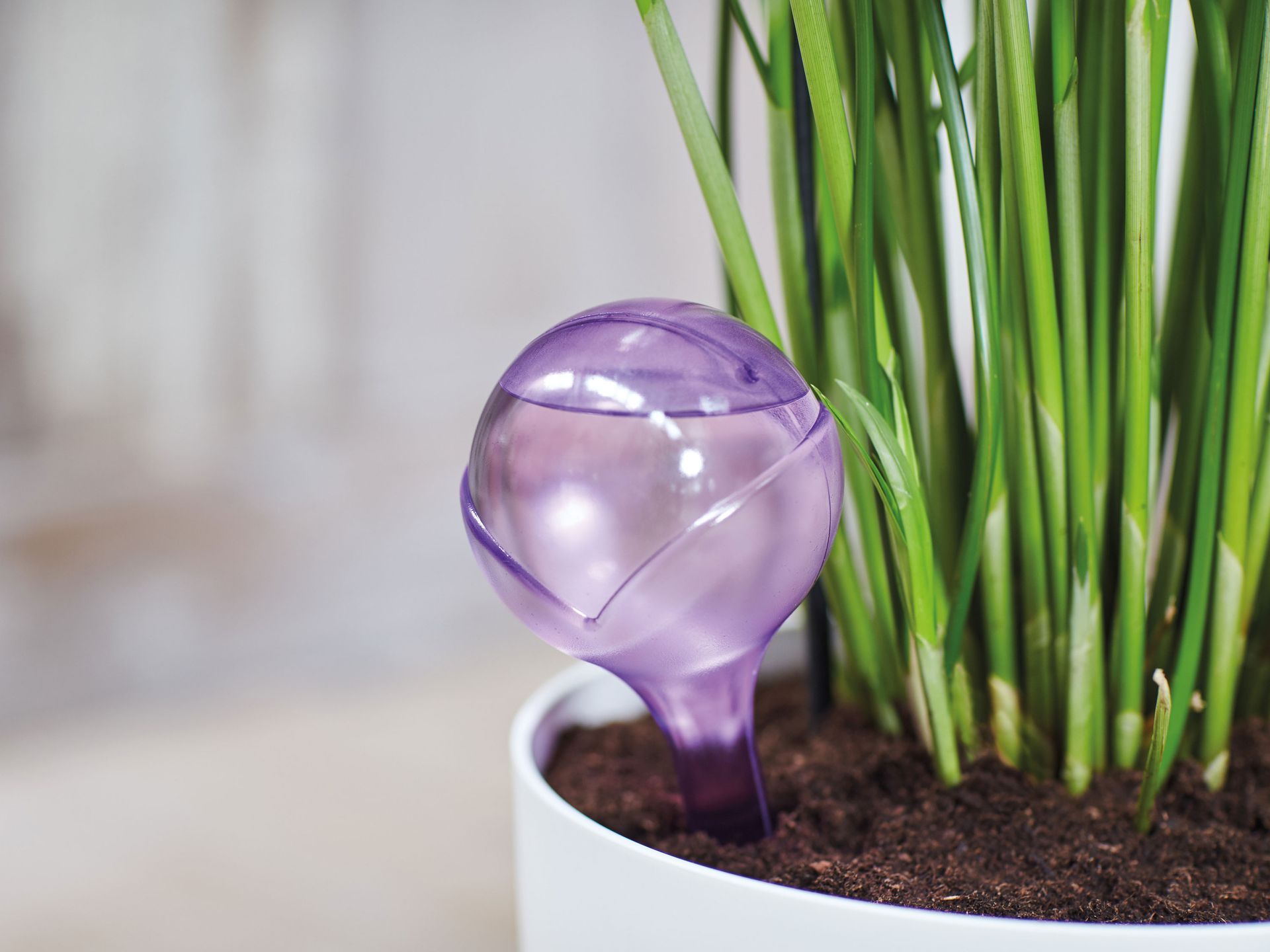 Best self-watering systems: keep plants thriving hands free | Gardeningetc