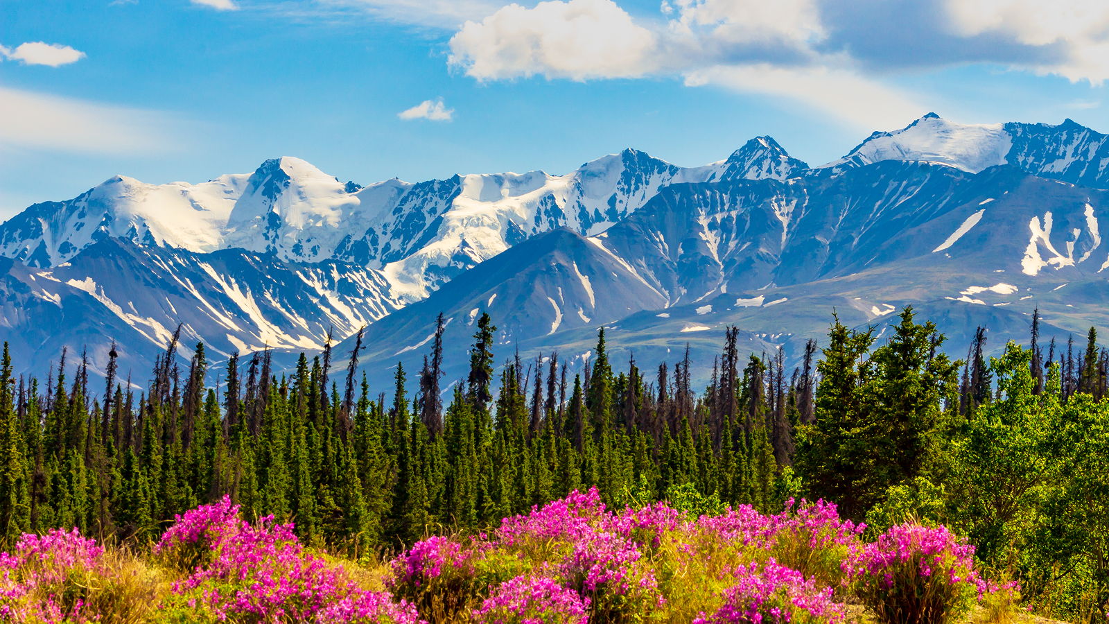 'Sleeping giant' fault beneath Canada could unleash a major earthquake ...
