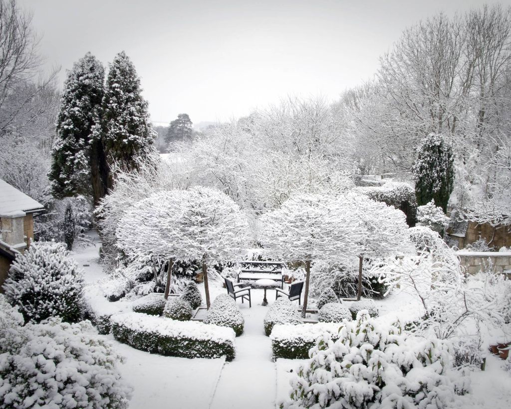 Is Snow Really the “Poor Man’s Fertilizer”? | Gardening Know How