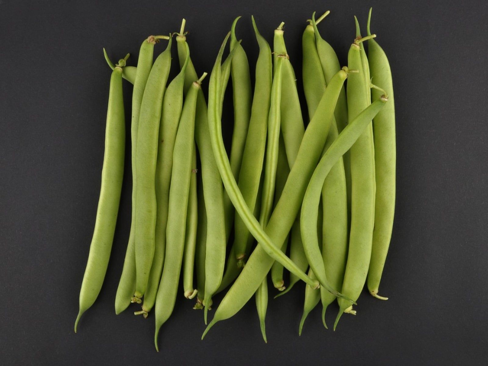 Planting Green Crop Beans – How To Care For Green Crop Green Beans ...