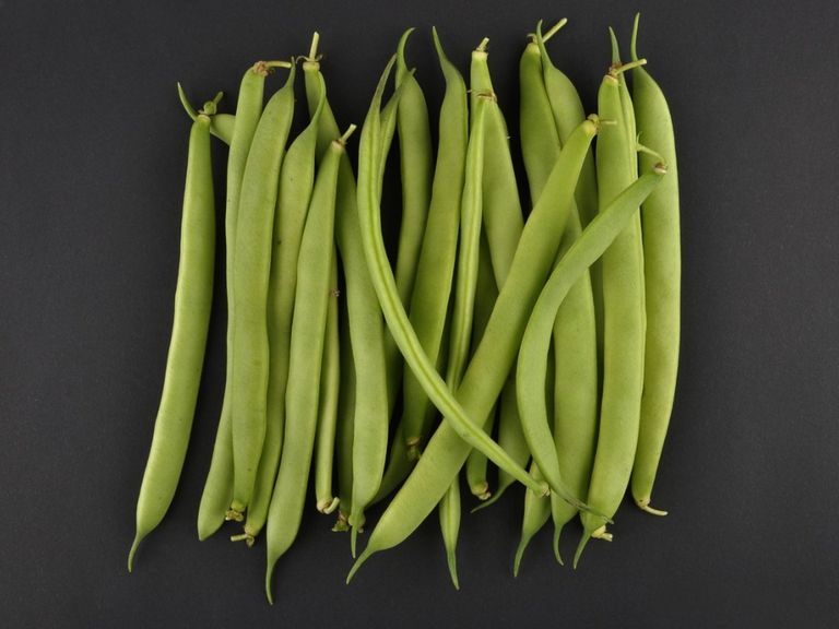 Planting Green Crop Beans – How To Care For Green Crop Green Beans ...