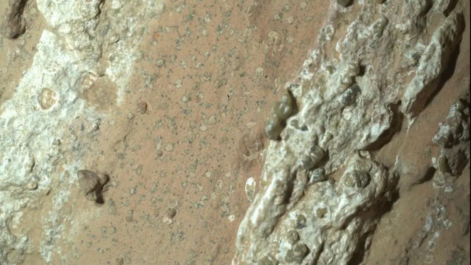 Did NASA's Perseverance rover actually find evidence of life on Mars ...