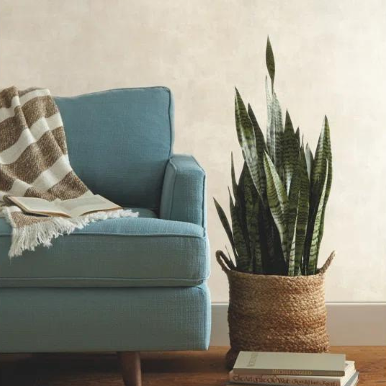 This interior designer just proved plaster is back | Homes and Gardens