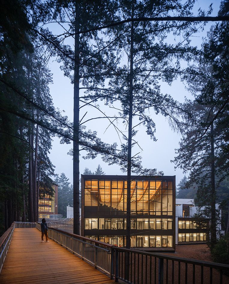 Take a tour of the Kresge College by Studio Gang | Wallpaper