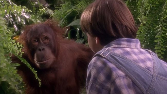 30+ Movie Animals That We All Love More Than The Rest Of The Cast ...