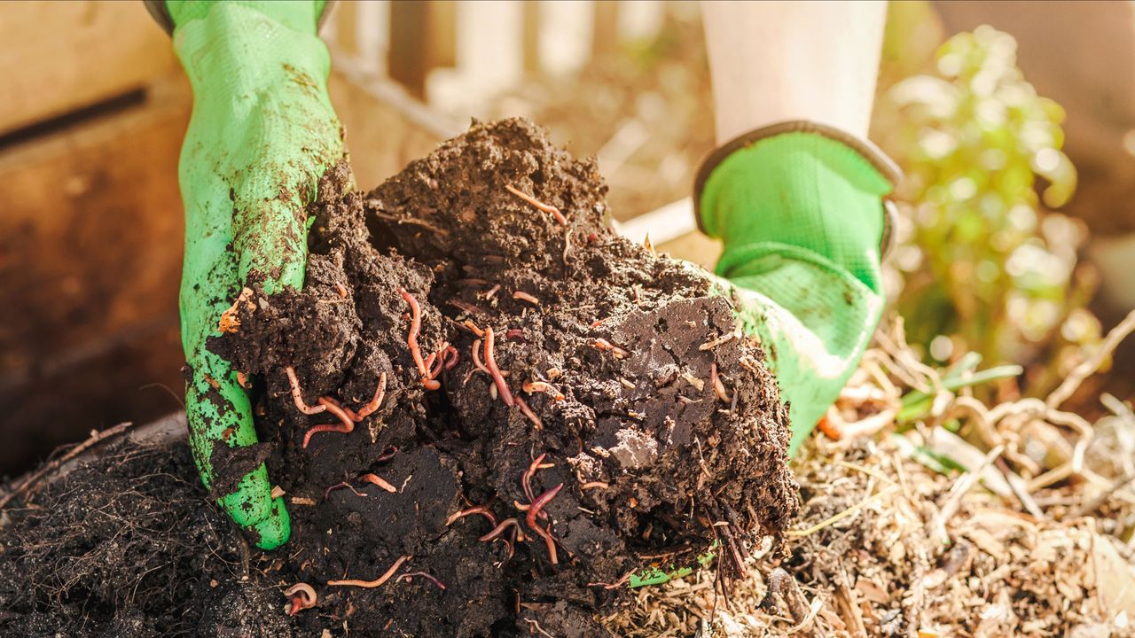 DIY Worm Composting Tower | Make An In-Ground Vermicomposter ...