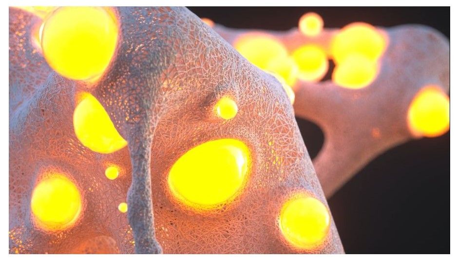 10 top Houdini tutorials | Creative Bloq