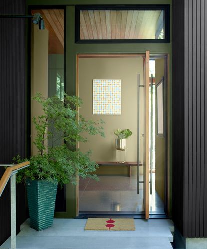 Green hallway ideas: 10 designs for a refreshing, natural space | Homes ...