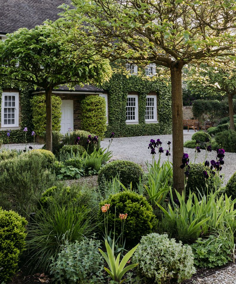 Georgian garden design: 5 key elements for a modern backyard | Homes ...