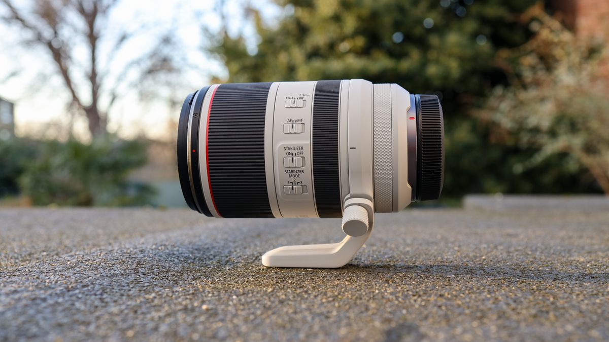 Best lenses for the Canon EOS R3: glass that gets the most out of your ...
