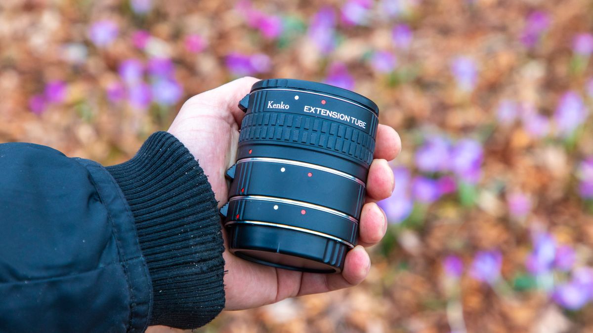 10 tips for amazing close-up photos of flowers with a Canon EOS camera ...