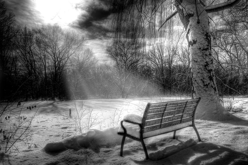 Deciphering Photo Paper - Picking The Best Ink And Paper For Your ...