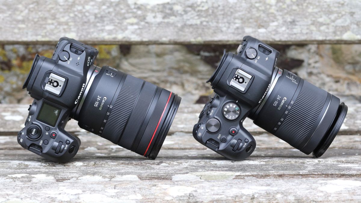 Canon EOS R5 vs R6: What are the differences and which is best for you ...