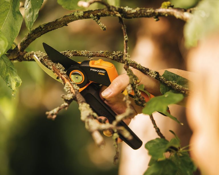 How to clean pruning shears: keep them in top condition | Gardeningetc