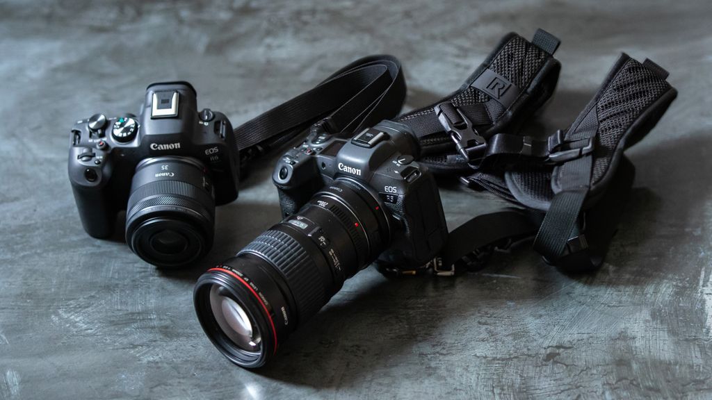 Two cameras are better than one if you are a pro photographer. These ...