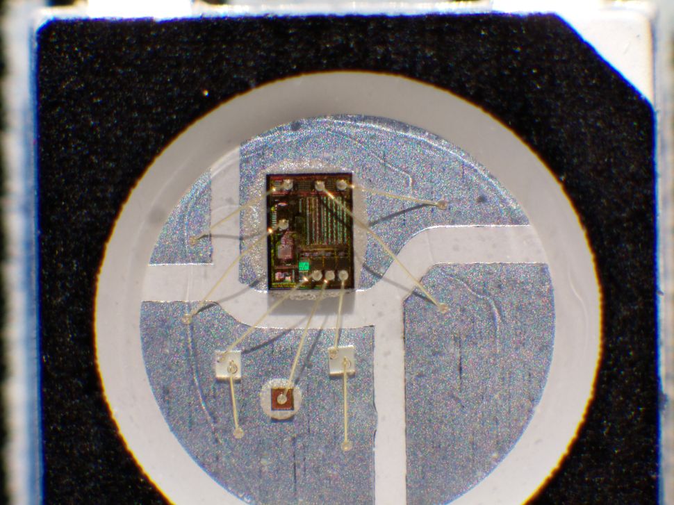 Pimoroni Microscope Lens for Raspberry Pi HQ Camera Review | Tom's Hardware