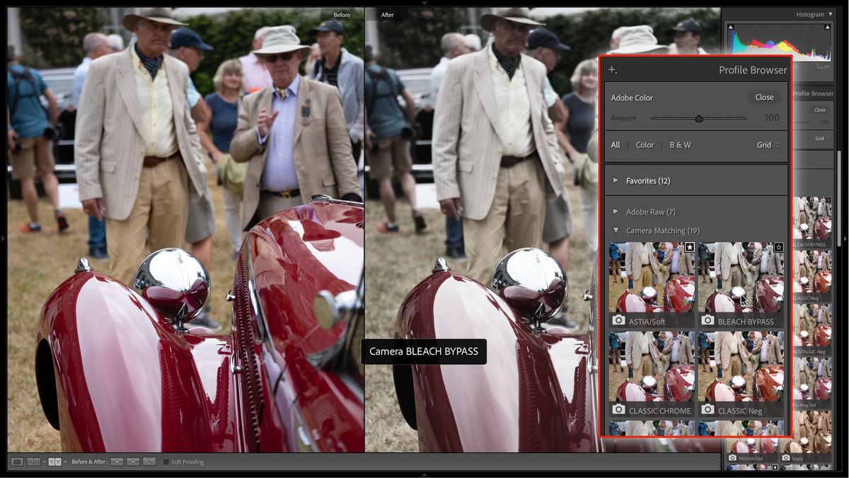 Lightroom hack #13: Profiles before presets | Digital Camera World