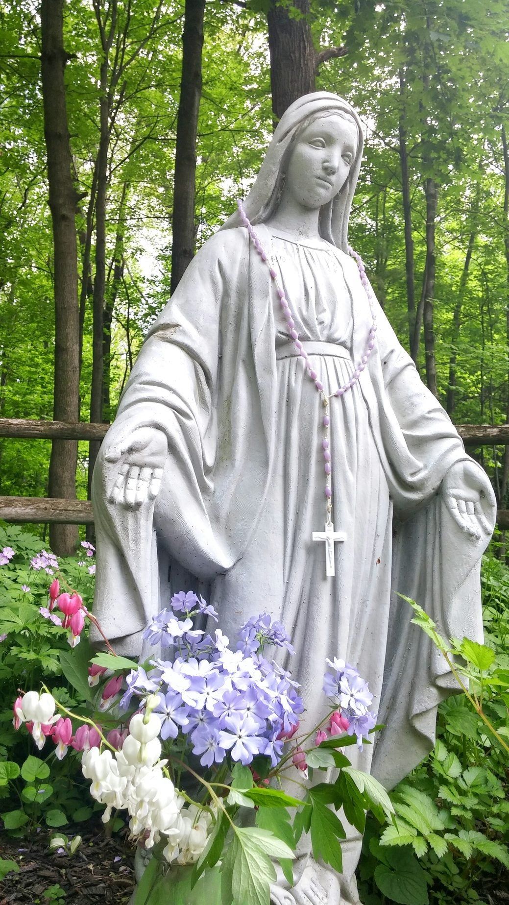 What Is A Virgin Mary Garden: How To Create A Mary Garden In The ...