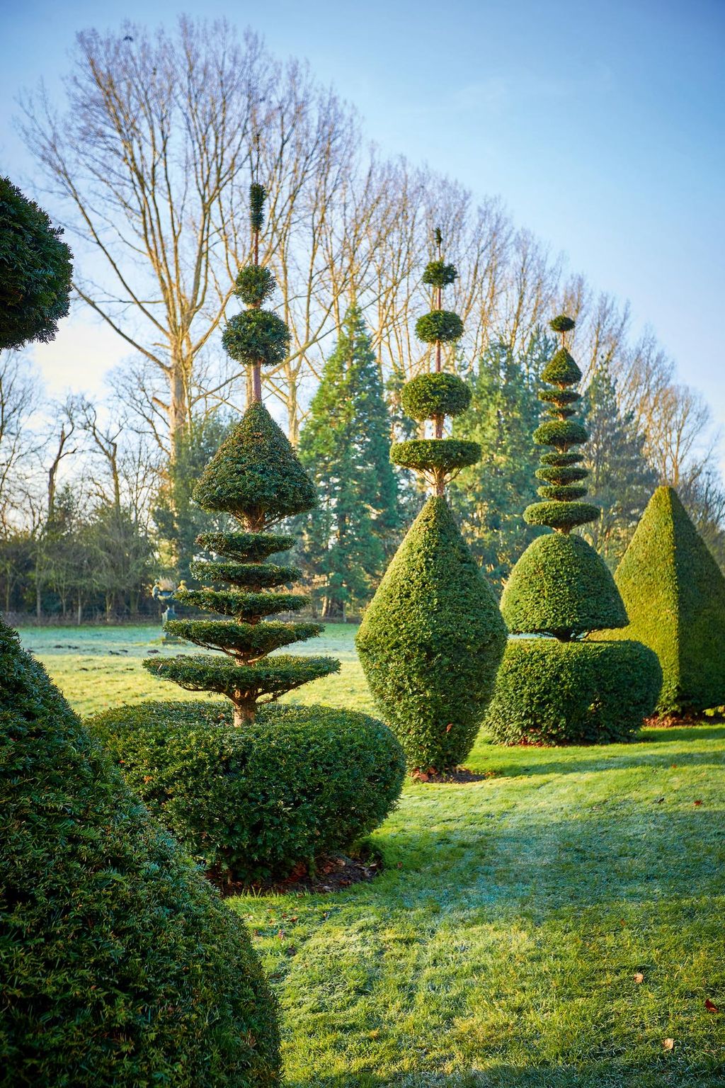 The Cressy Hall topiary: 'A miraculously well-kept secret' | Country Life