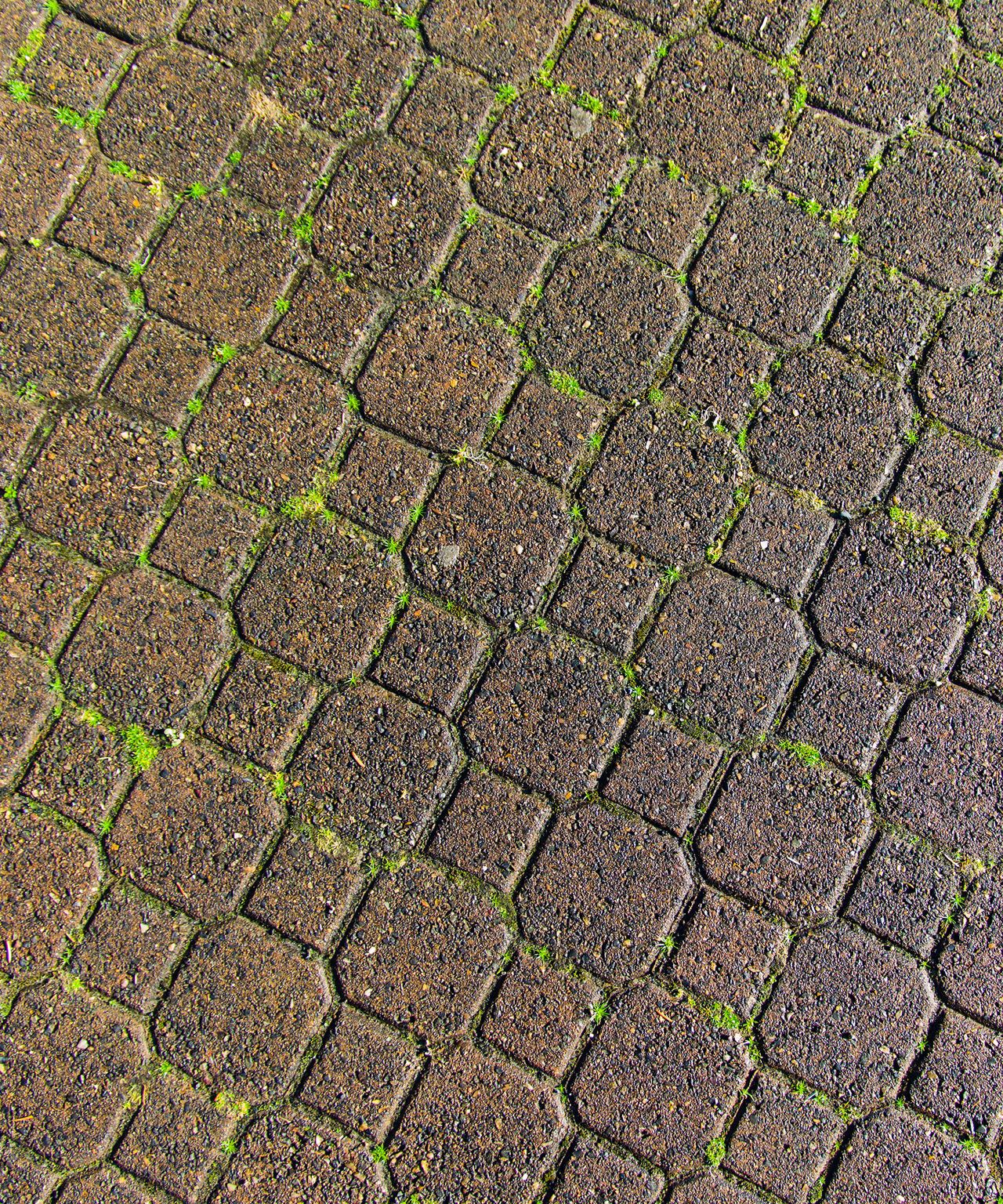 Why is my patio going green? The most common causes | Homes and Gardens
