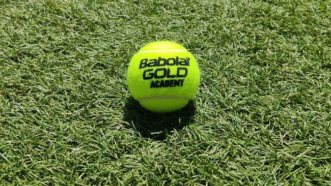 The Best Tennis Balls For Different Surfaces, Value For Money And ...