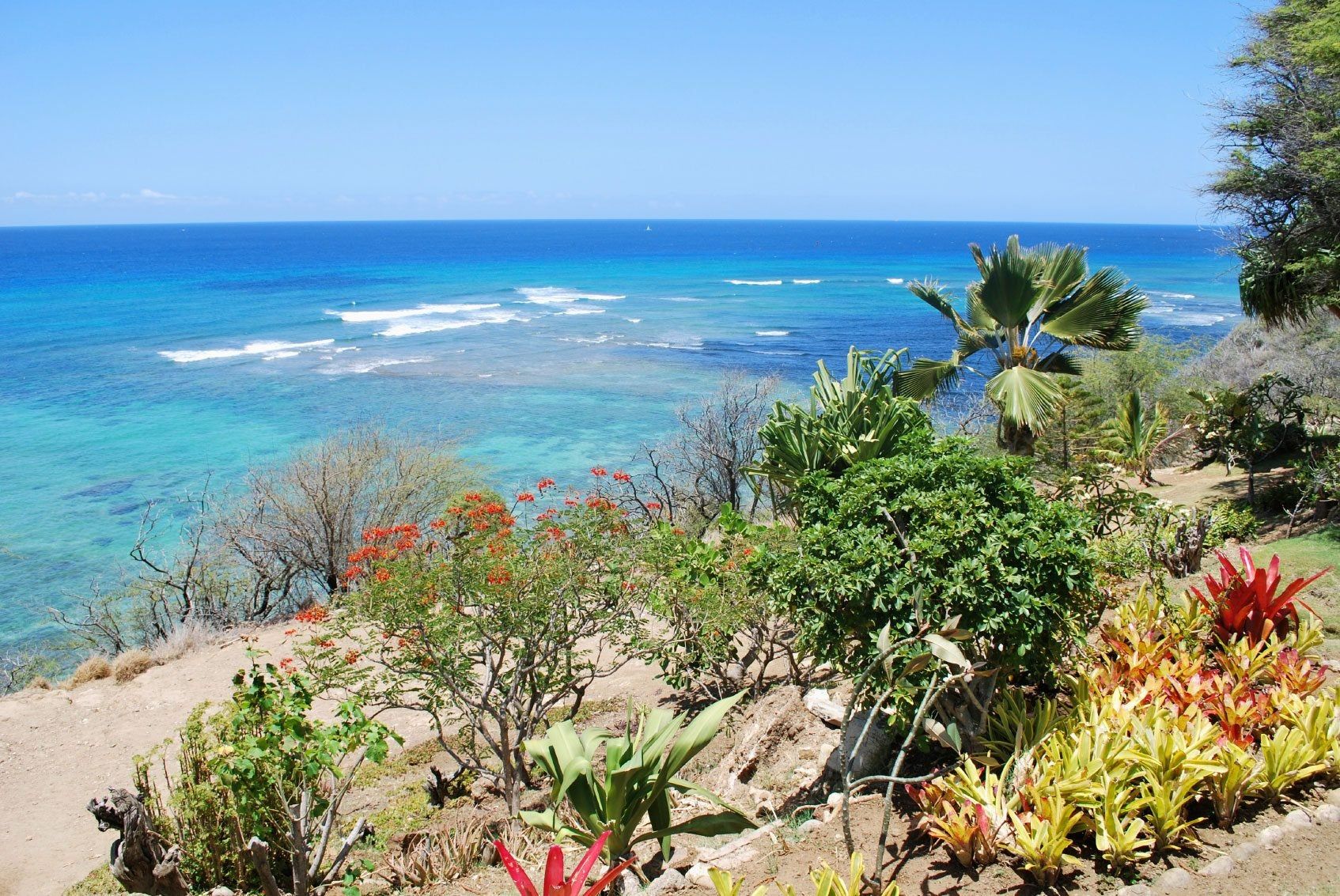 Coastal Garden Ideas - Things To Consider When Planning Ocean Gardens ...