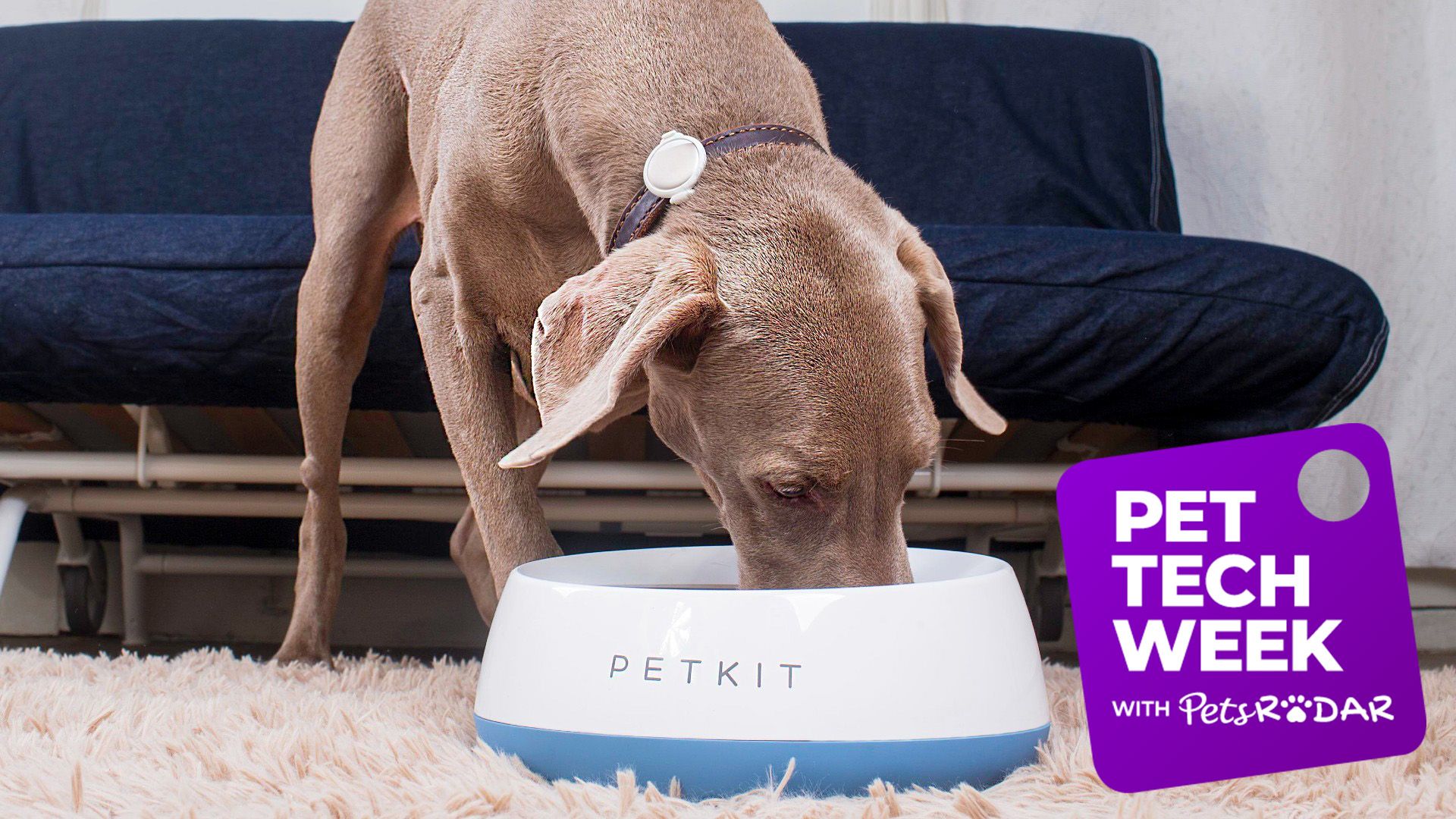 Pet Tech Week day three: Pet Tech for food | PetsRadar