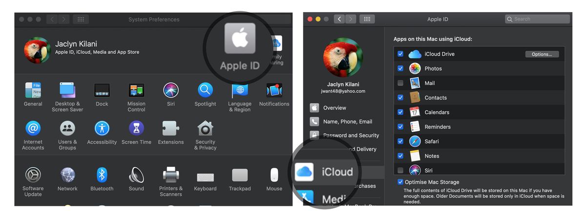 How to put app data in iCloud: Giving and revoking app access to iCloud ...