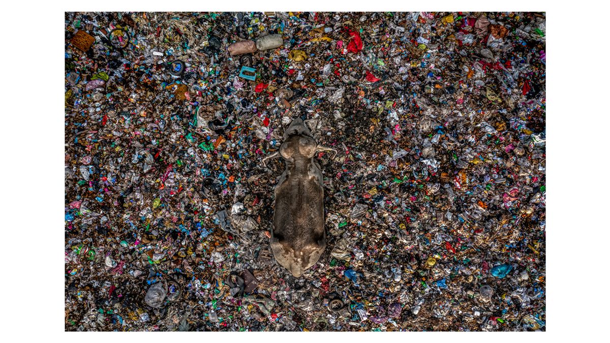 Beautiful black and white shot of boys fishing wins 9th Xposure ...