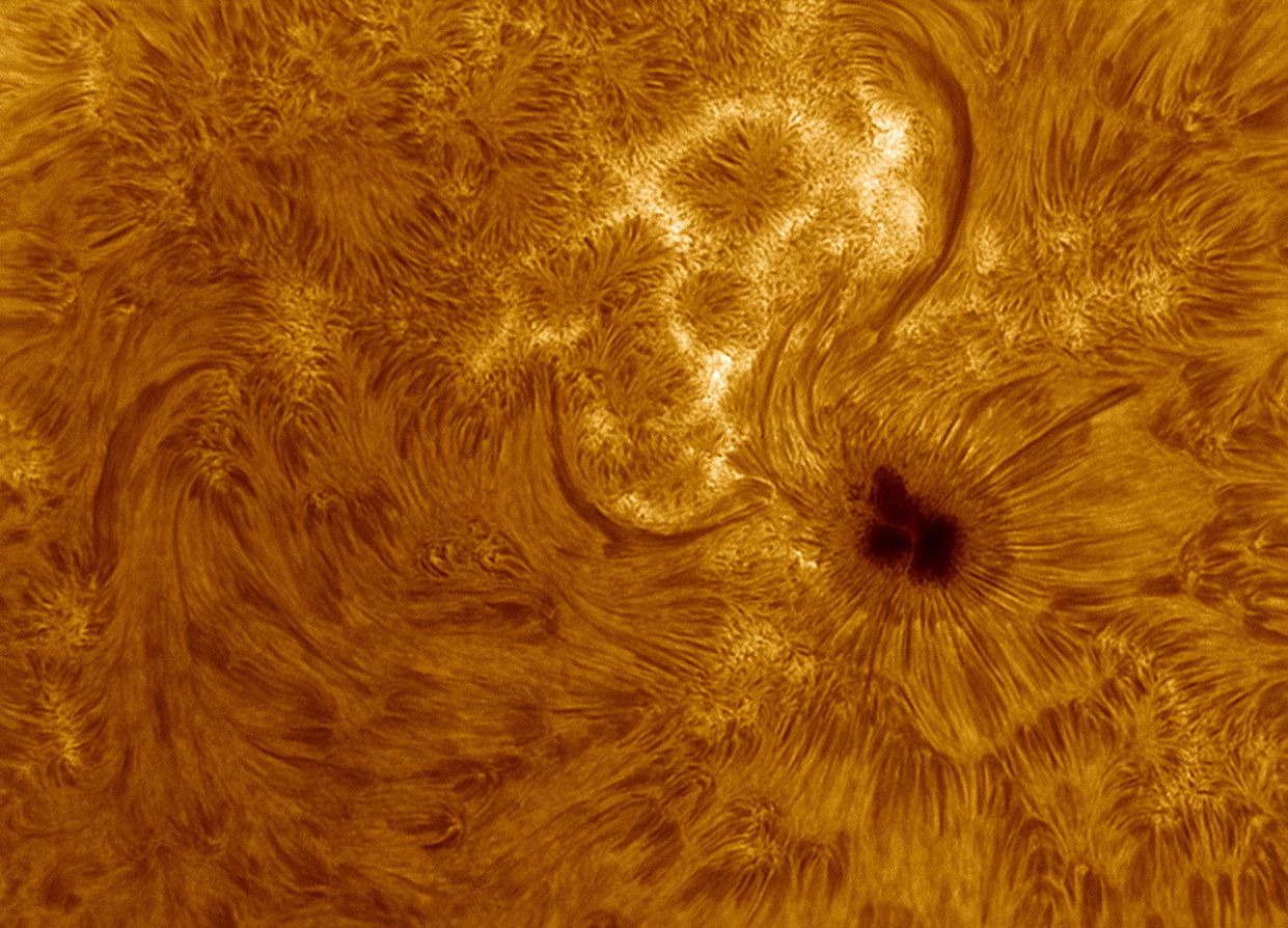 Sunspot Beauty Captured by Solar Shutterbug (Photo) | Space