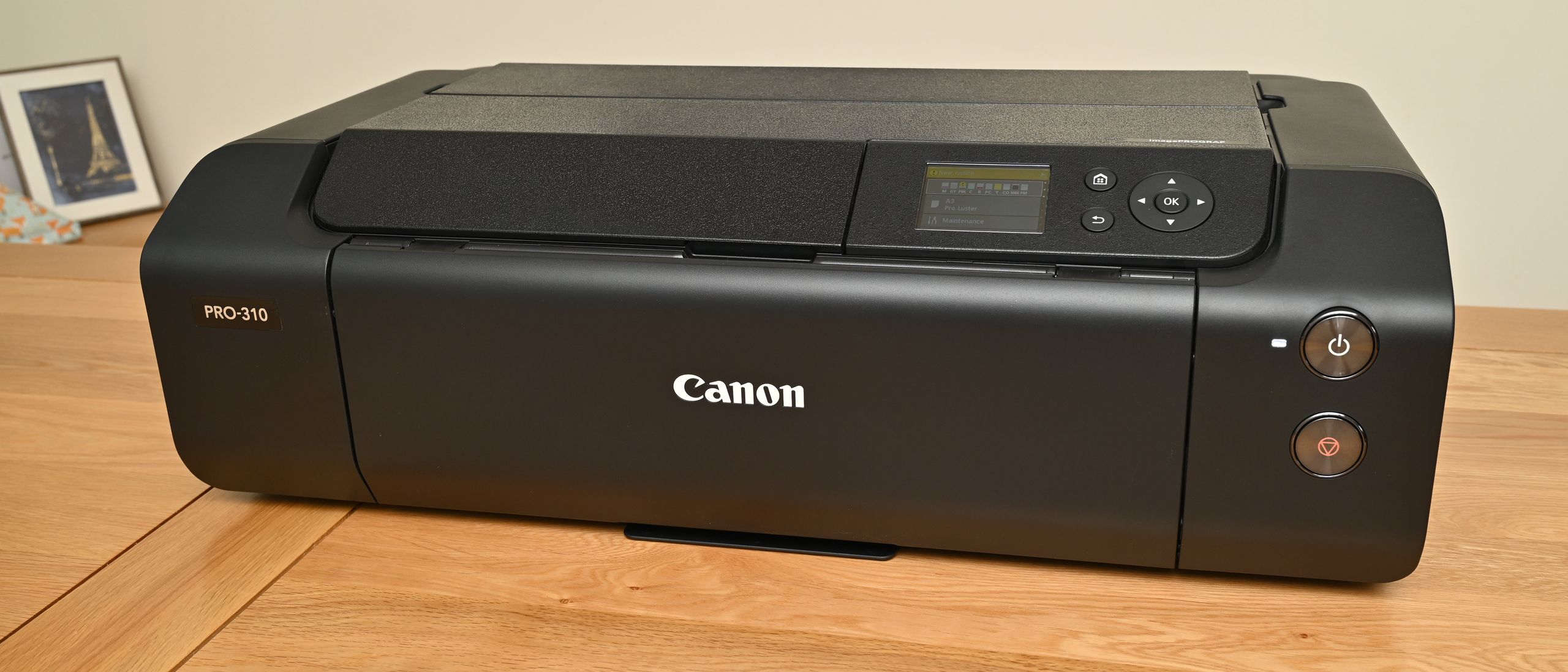 Canon ImagePrograf Pro-310 review: it’s got a tough act to follow ...