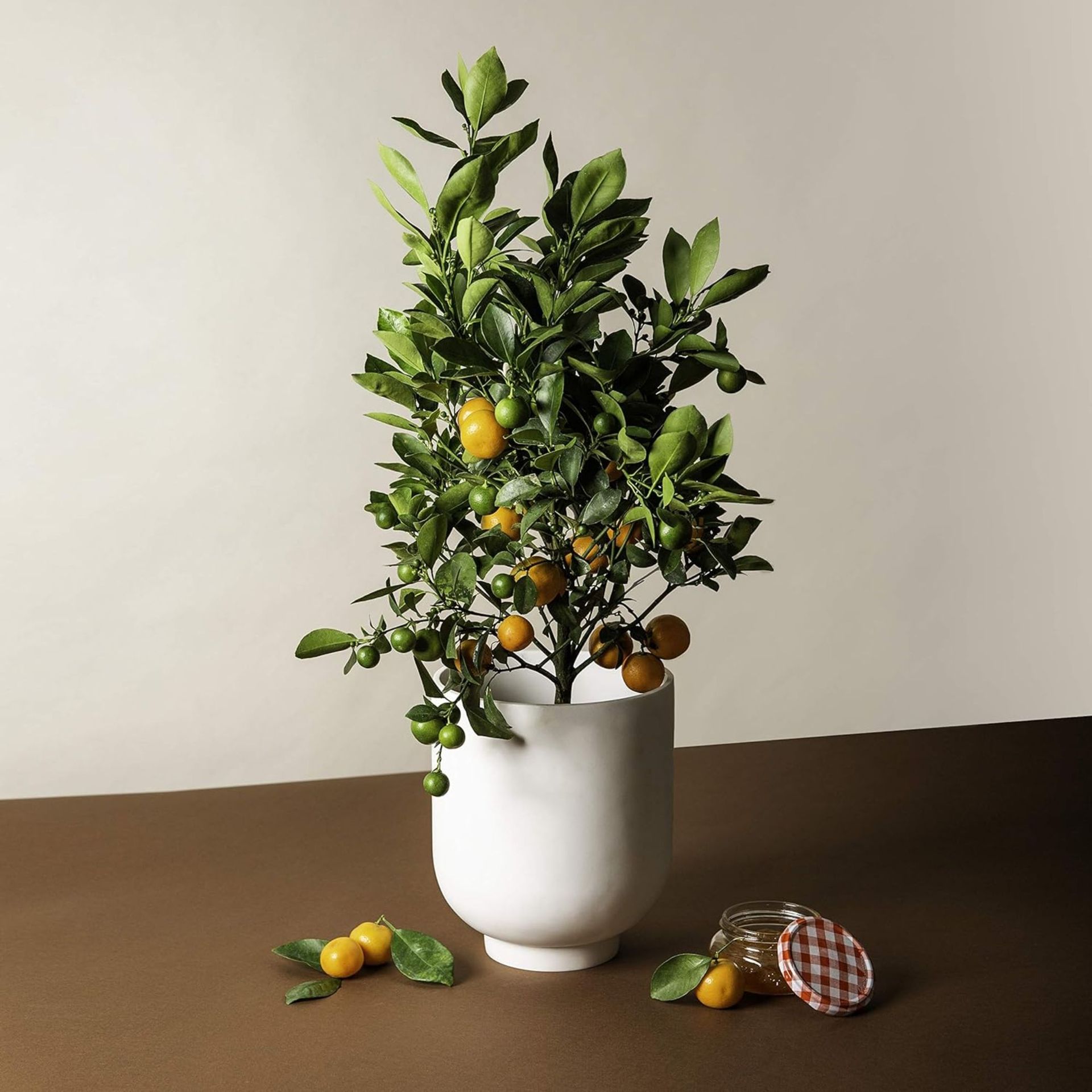 Plants to infuse subtle scents into your home | Homes and Gardens