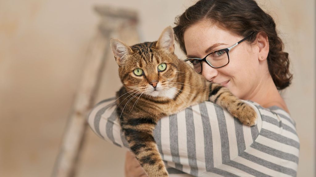 32 reasons cats are the perfect companions | PetsRadar