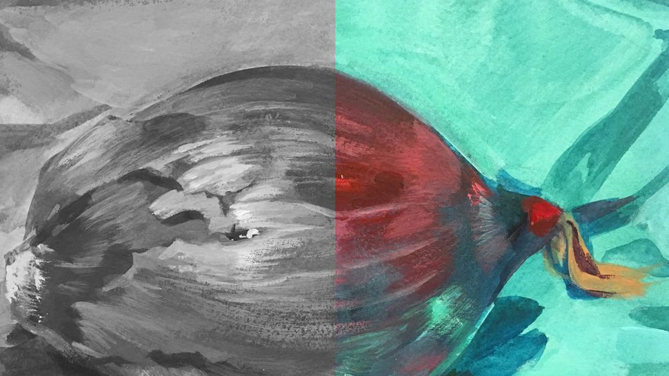 14 free resources to improve your illustration skills | Creative Bloq