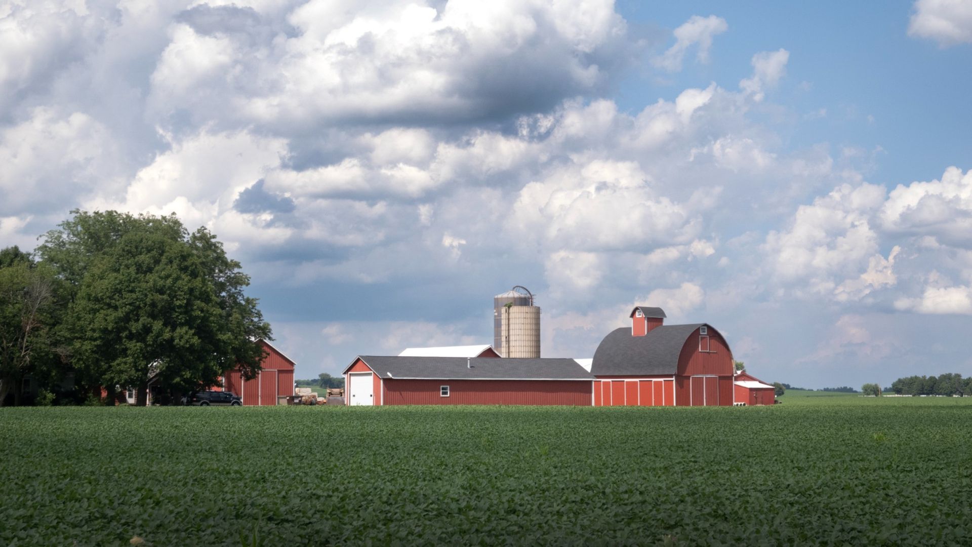 Why do farmers hate Trump’s Argentina bailout? | The Week