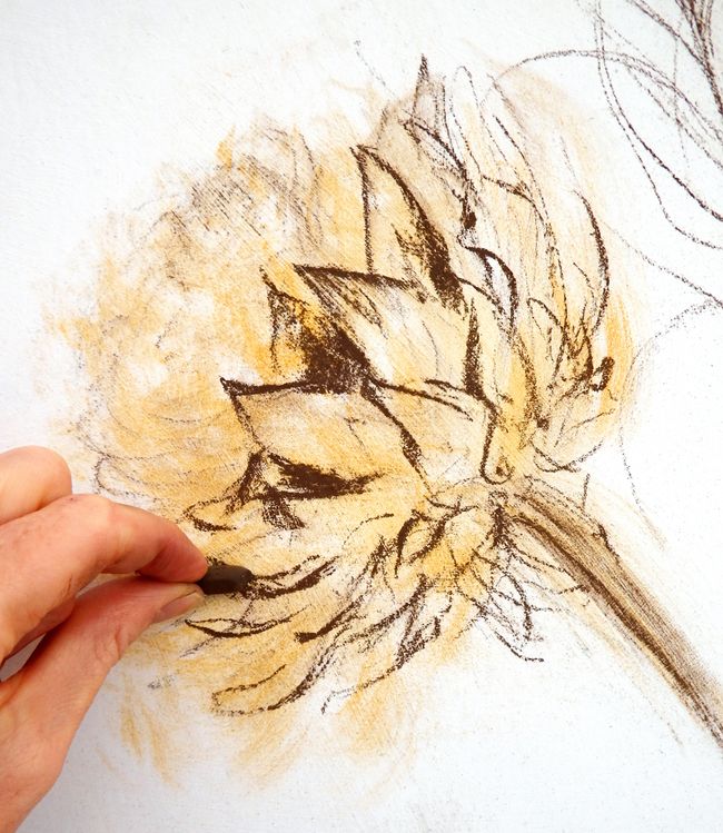 How to draw with pastels and Conté crayons | Creative Bloq