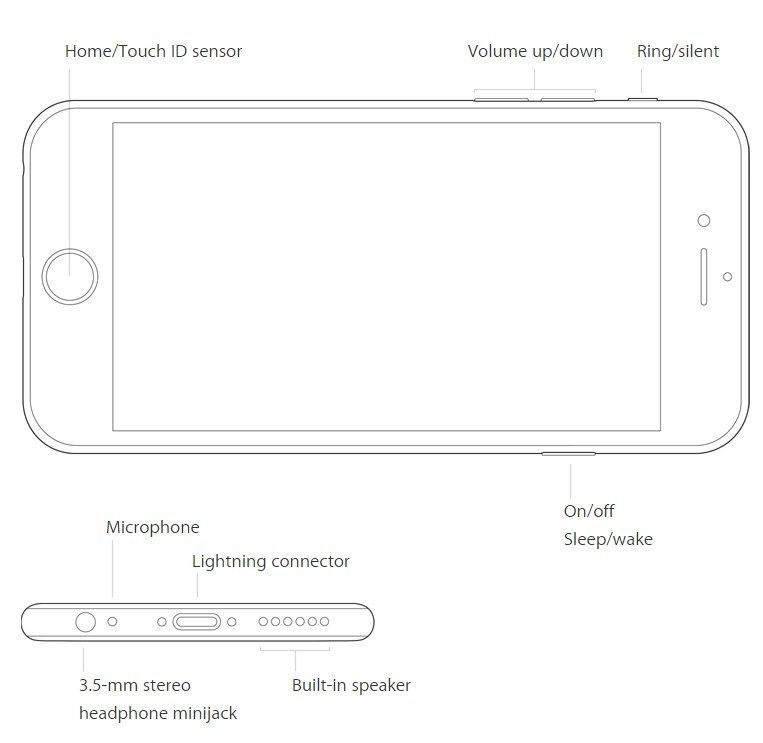 Everything you need to know from Apple's iPhone 6 and Apple Watch event ...