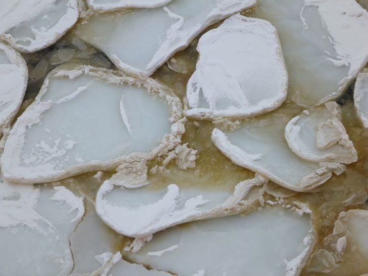 Behemoth Antarctic Algae Bloom Seen from Space | Live Science