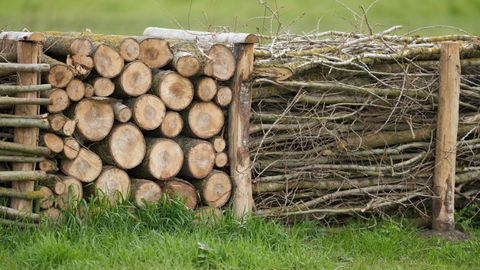 How to build a dead hedge: A step-by-step guide | Homebuilding