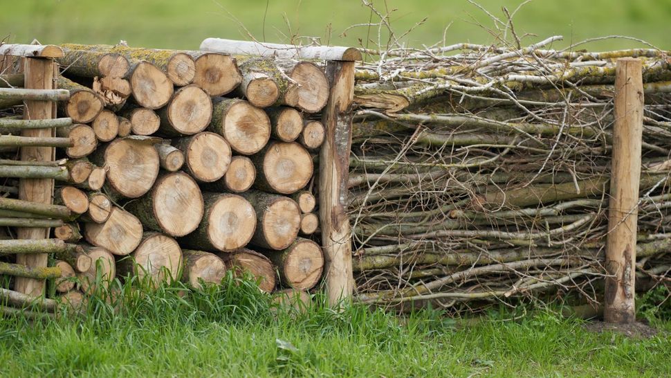 How to build a dead hedge: A step-by-step guide | Homebuilding