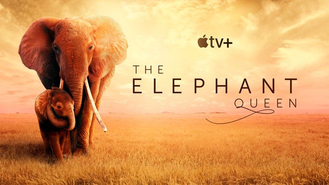 The 10 best documentaries on Disney Plus | TechRadar