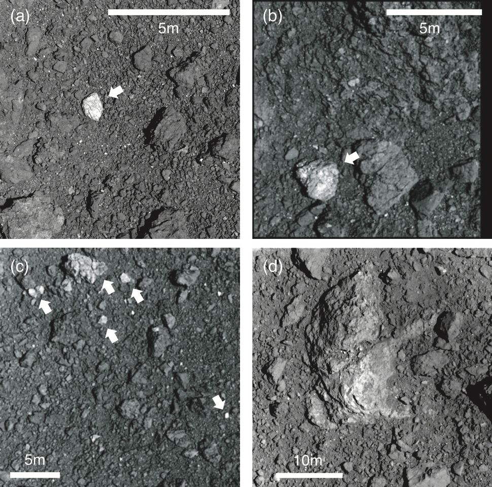 Japan's priceless asteroid Ryugu sample got 'rapidly colonized' by ...
