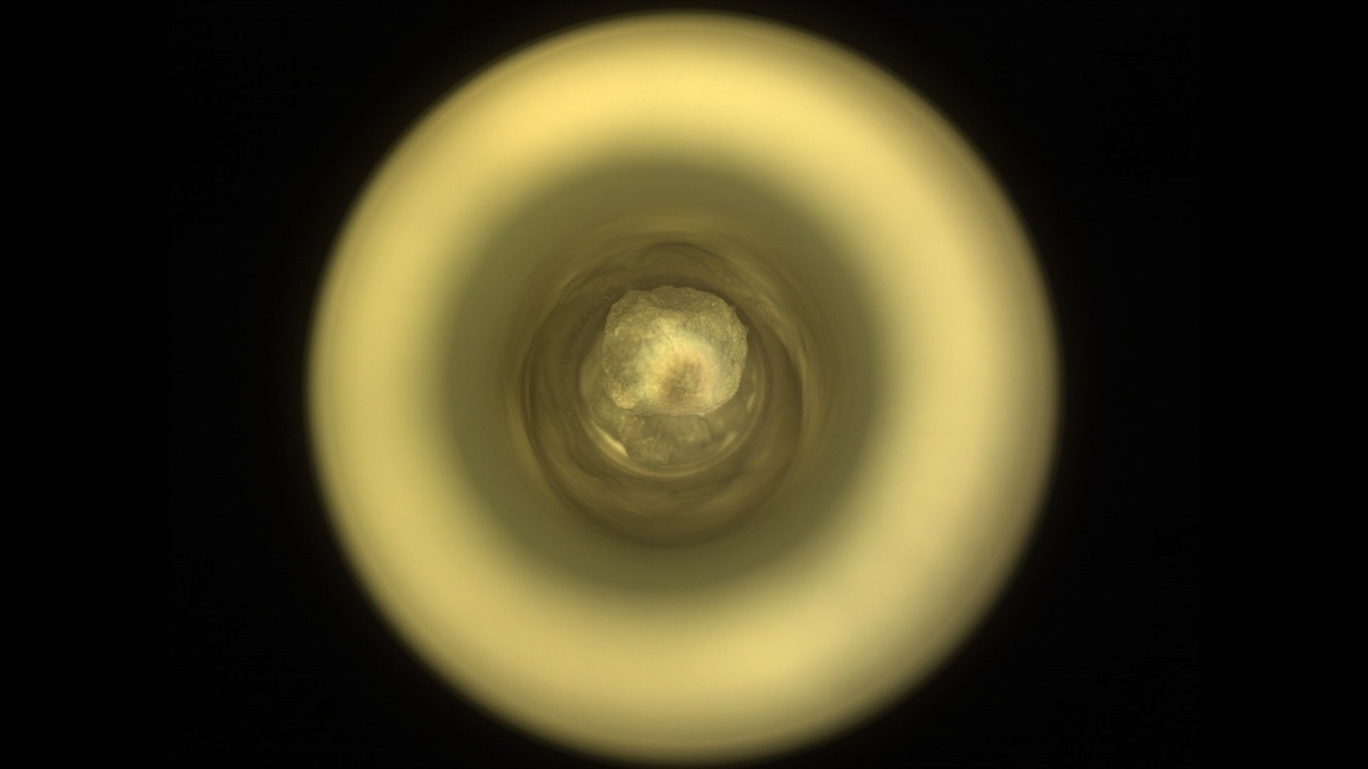 Perseverance Mars rover finds 'one-of-a-kind treasure' on Red Planet's ...