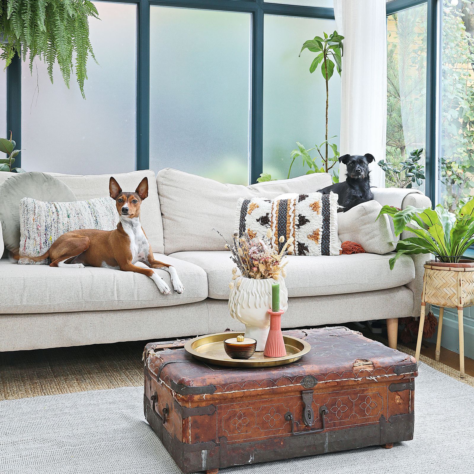 Conservatories – how to plan and create your dream room | Ideal Home